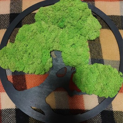 World Map With Moss, World Map With Reindeermoss on a Self-adhesive ...