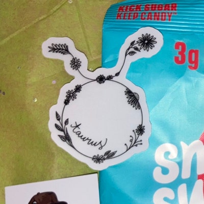 The Wild Robot Die Cut Vinyl Sticker Roz and Brightbill - Etsy