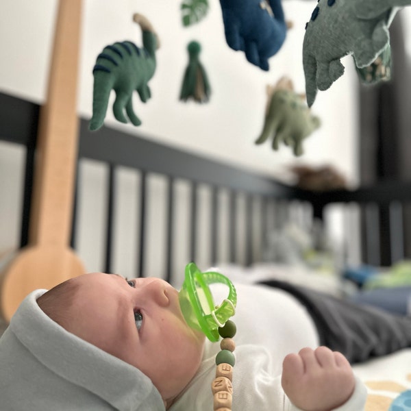 Dinosaur Pacifier Clip | Dino Pacifier Clip | Dummy Clip | Binkie Clip ...