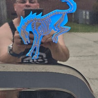 Two Color Set of Ford Bronco skeleton Emblems and Badges / Calling All ...