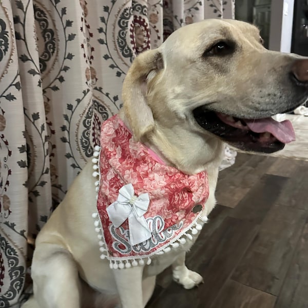 Paw Print Custom Bandana Dog or Cat/slip-on/gift Personalized Puppy ...