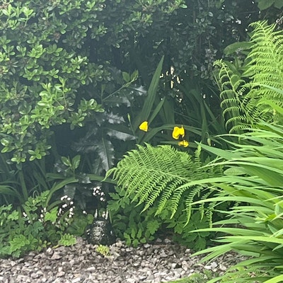 Cheesy Ravers 90's Memorabilia - Etsy