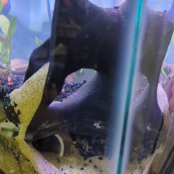 Corner Aquarium Terrarium Cave Hideout – Decorative Shelter for Fish ...
