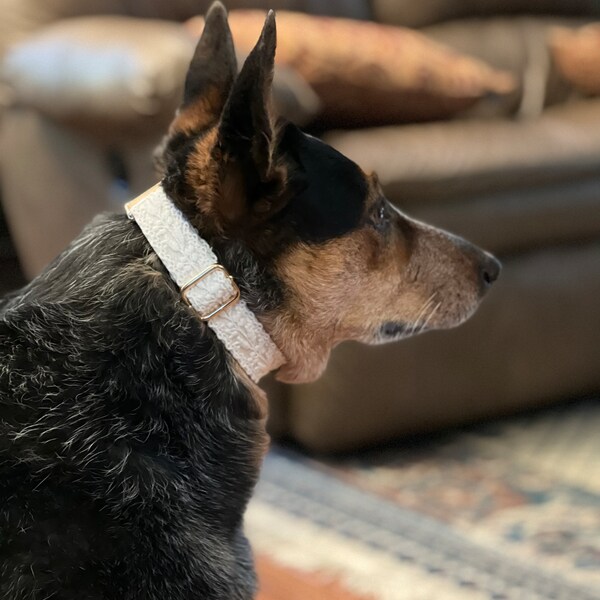 White Ivory Lace Bridal Dog Ring Bearer Collar & Leash Set,detachable ...