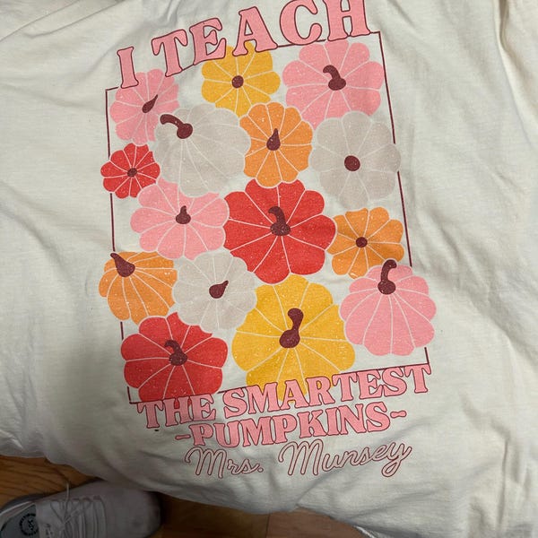 Comfort Colors® Teach Shirt, Cute New Teacher Shirt, Teacher ...