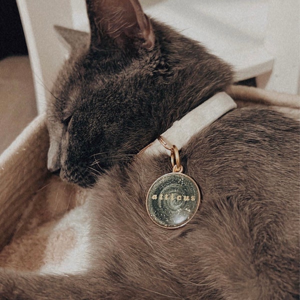 Olive Green Resin Pet ID Tag - Resin, Olive Green, Dog Tag - Etsy