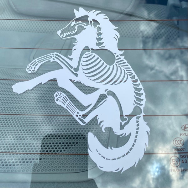 Wolf Skeleton Decal - Taxidermy, Werewolf, Loup Garou, Skull, Canine ...