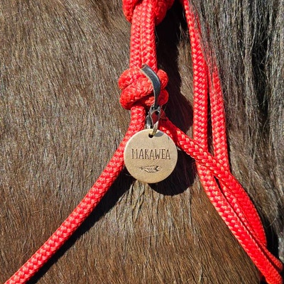 Custom Bridle Tag, Halter Tag, Horse Name Tag, Gift for Horse Lover ...