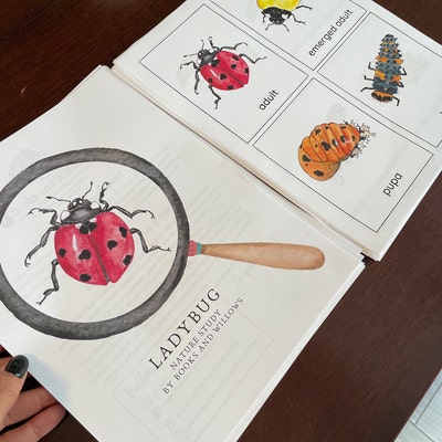 A Thing Called Snow Family Literature and Activity Guide Snow Nature ...