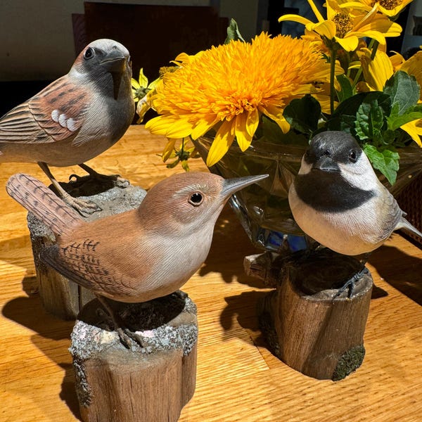 Tufted Titmouse Hand Carved and Hand Painted Wooden Bird - Etsy