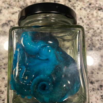 Singing Mouse, Taxidermy Mice, Taxidermy Band, Ethically Sourced ...