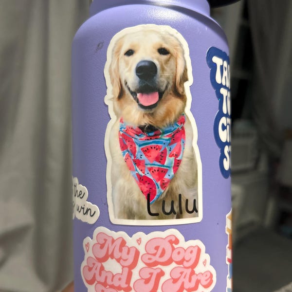 Custom Pet Stickers, Dog Mom Stickers, Personalized Animal Sticker - Etsy