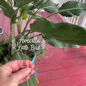 Personalized Acrylic Garden Sign, Flower Pot Message Sticks, Gardening ...