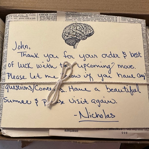 Brain Notecard Set of 12, Correspondence Card Set, Anatomy Card Set - Etsy