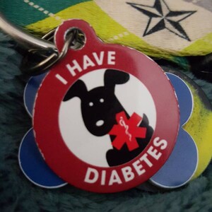 Medical ID Tag I Have Diabetes Dog Medical Alert - Etsy