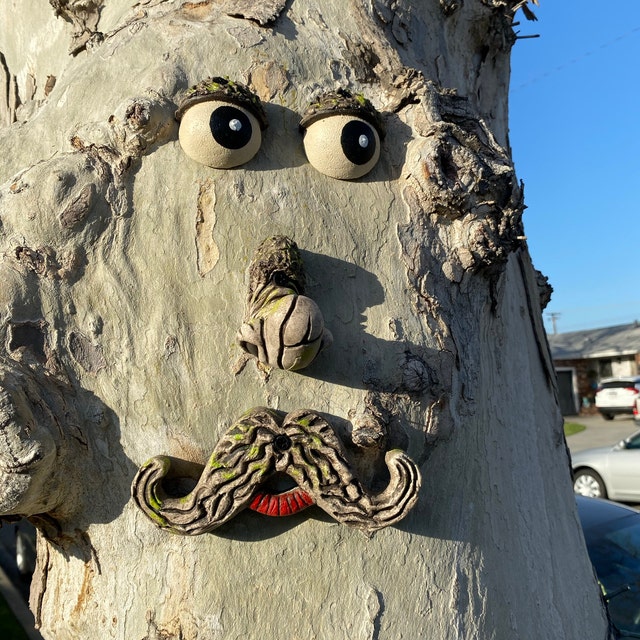 TREE FACES gifts for gardeners UNIQUE FUNKY by TheTreeFacePeople