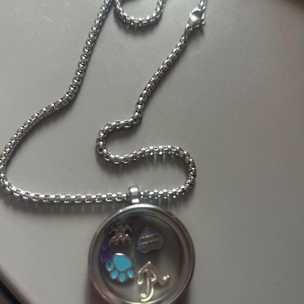 Glass Floating Locket - Stainless Steel Glass Memory Locket - Living ...