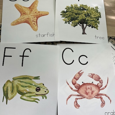 Montessori Pink Series Language Cards Learn to Read CVC Words - Etsy