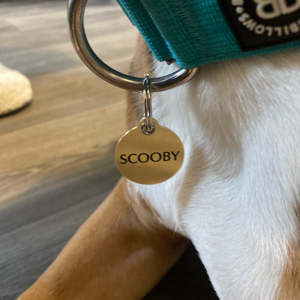 REINFORCED Deeply Engraved Solid Brass Dog Tag, 33mm Round - Etsy