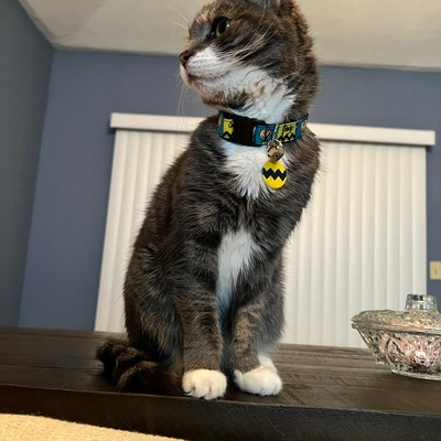 Squirrel Patrol Cute Personalized Silent Pet ID Tag by Dog Tag Art - Etsy