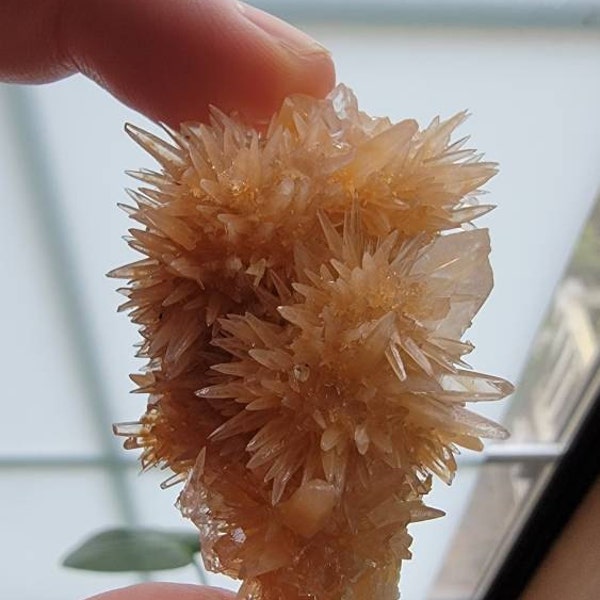 Beautiful Cave Popcorn Calcite With Gypsum Micro Crystals With Red ...