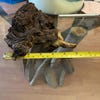 CHEAP Random BOGWOOD 20-30cm Fish Tank Root for Java Fern Moss Live ...