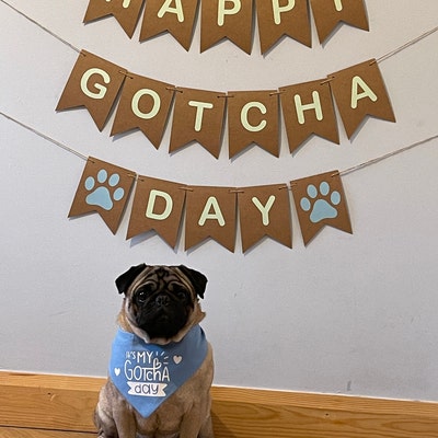 Happy Gotcha Day Bunting Banner Sign Dog Cat Rescue Birthday Day ...