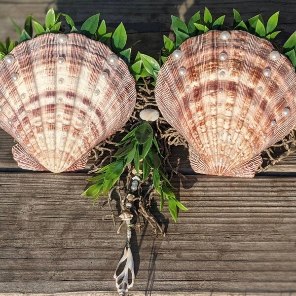 Shell Crown - Etsy
