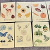 Nature Themed Alphabet Cards Homeschool Nature Study Printable ...