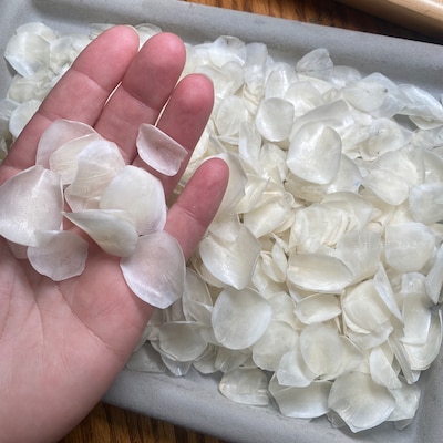 Organic White Silk Cocoons for Facial Scrub, Gentle Scrub for Sensitive ...