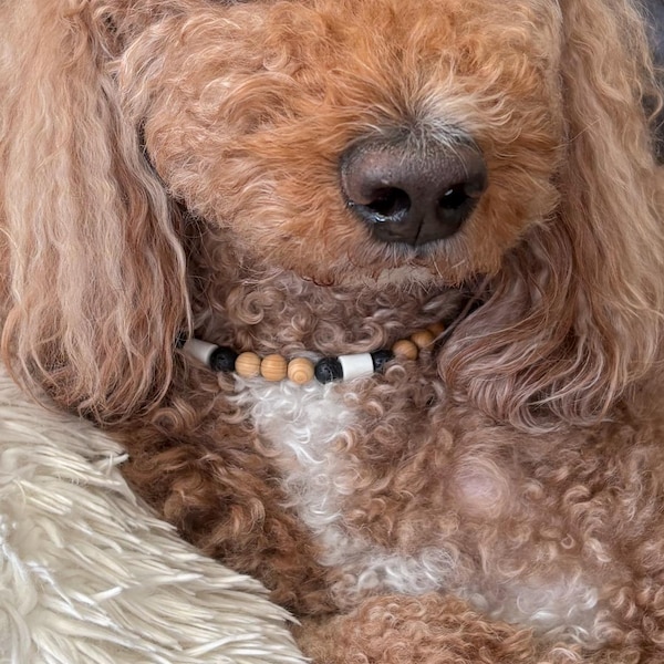 Lithotherapy and Anti-ticks Collar for Dog, Anti-anxiety and ...