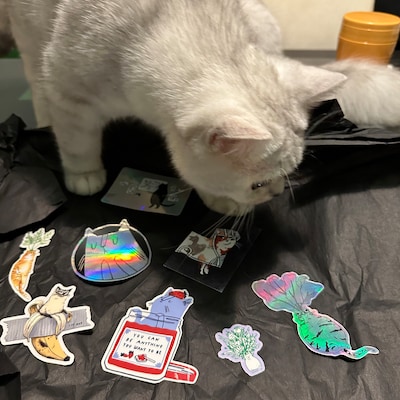 Carrot Cat Sticker Transparent Sticker Cat Stickers Kawaii - Etsy