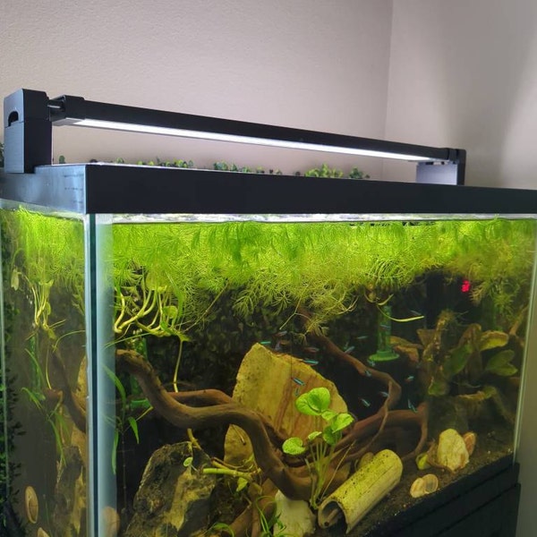 Aquarium CO-OP Light Riser, Attractive Stable Elevated Stand, Quality ...