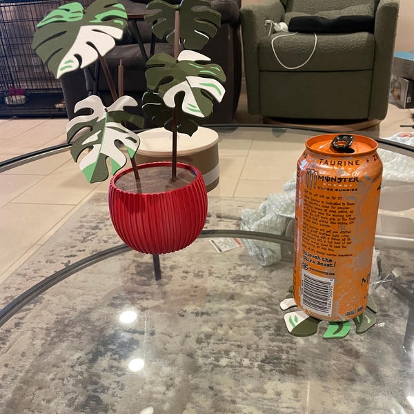 Coaster Plant Set for Drinks Decoration Plant Variegated Leaves ...