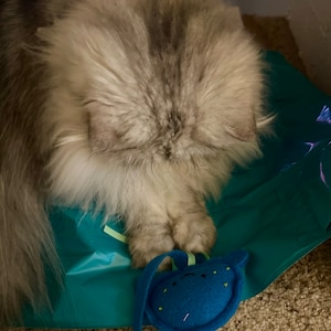 Cat Teaser Wand, Cat Toy Star, Cat Toys Wand, Cute Cat Toys, Cat String ...