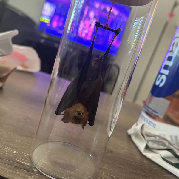 Ocean Aqua Mouse for Computer - USB, Y2K, Frutiger Aero, Nostalgia ...