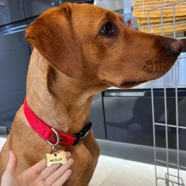 Deeply Engraved Solid Brass Dog Tag, 39mm Round - Etsy