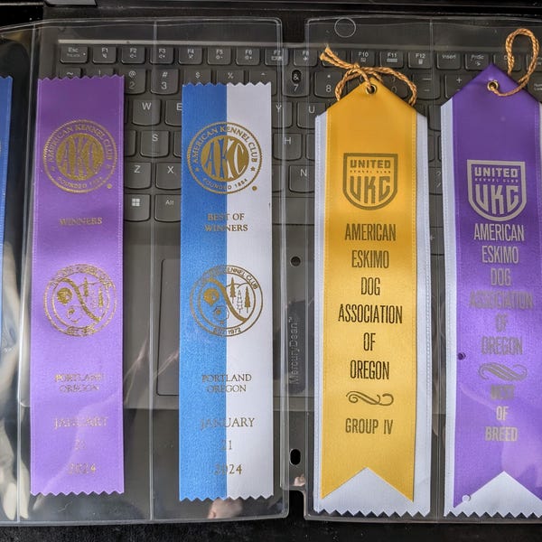 Swimming Gift Ribbon Organizer Binder Storage Album Ribbons Holder Swim ...