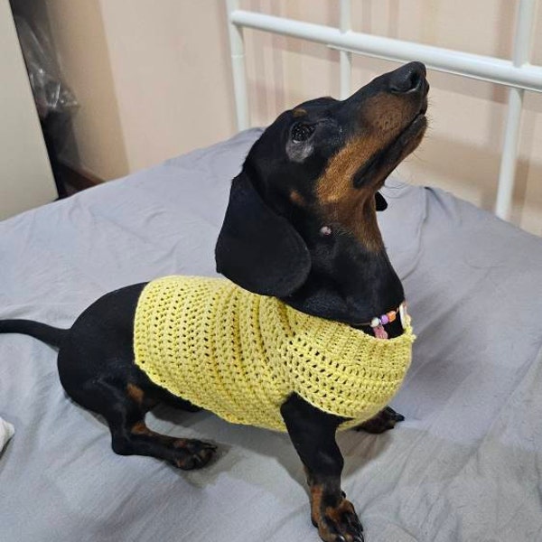 Ledger Sweater CROCHET Pattern - Beginner Friendly Sweater for Dogs in ...