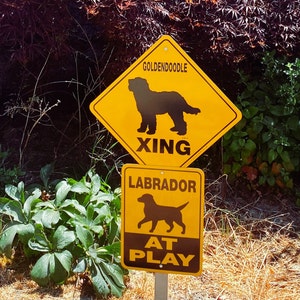 Dinosaurs Caution Xing Sign Aluminum 12 in X 12 in 21757 - Etsy