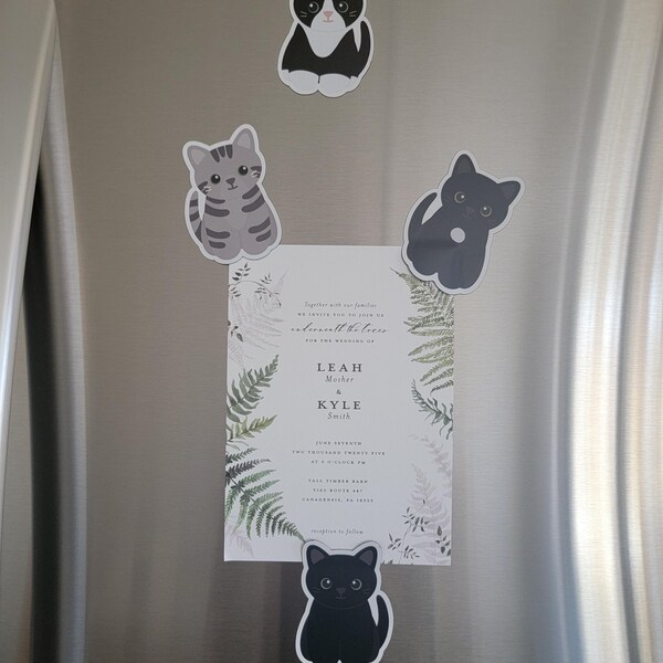 Tabico Calico Tabby Cat Vinyl Sticker for Water Bottle and Laptop, Cute ...