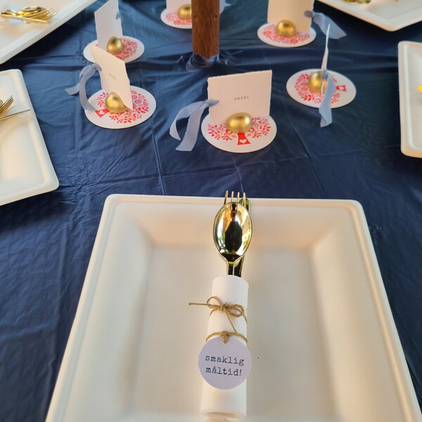 Eco Friendly 20 Upscale Disposable Plates for Wedding. Elegant Square ...