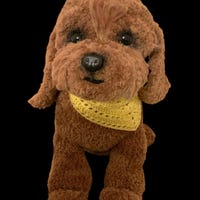 Goldendoodle Dog Crochet PATTERN, Crochet Puppy, Dog Crochet Pattern ...
