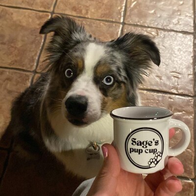 Reusable Pup Cup Custom Puppuccino Mug Dog Mom Gift 2oz Personalized ...