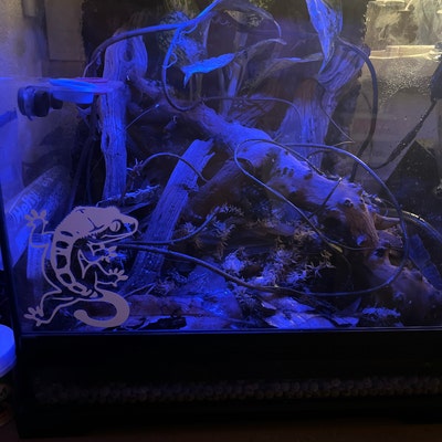 Argentine Tegu Vinyl Monitor Decal Cute Lizard Reptile Sticker - Etsy