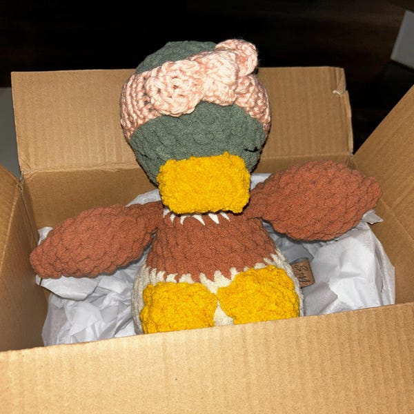 Duck Plushie | Stuffed Animal | Cozy Plushie | Della Duck | Crochet ...