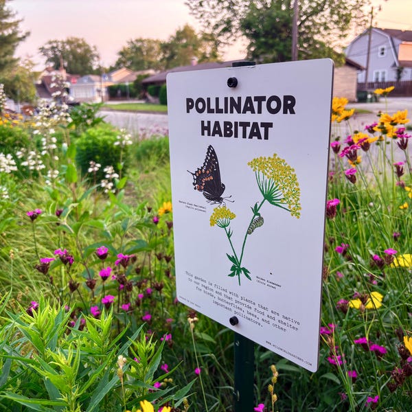 Native Plant Garden Sign | Pollinator Habitat Sign | Pollinator Garden ...
