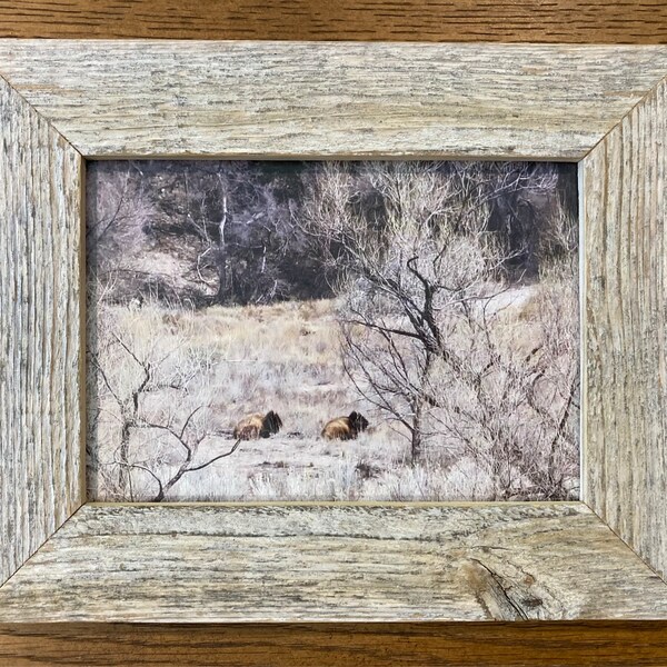 Barnwood Picture Frame - Homestead Narrow 1.5 Inch Flat Rustic ...