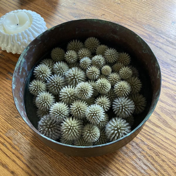 Bundle of Wooden Rowan Sticks 15 Pieces, Rowan Wood Sticks Mountain Ash ...