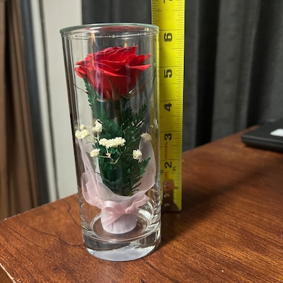 Medium Forever Roses, Real Forever Roses, Mothers Day Gift, Romantic ...